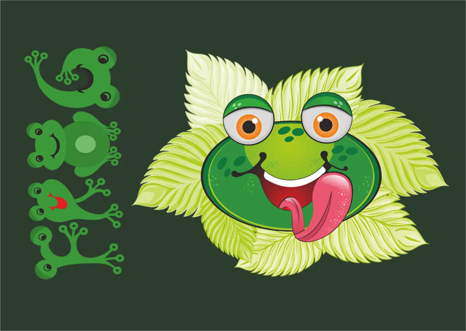 Frog Swing Car Toy Packaging & Branding Design